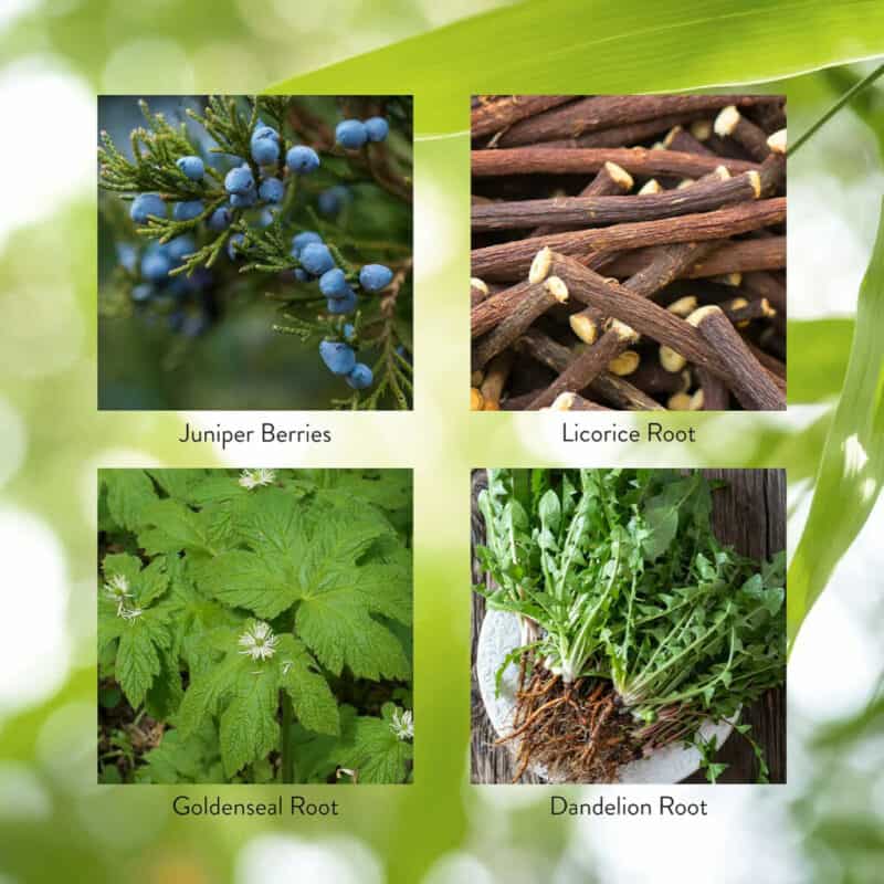 Natures's Sunshine Pro-Pancreas Formula 100 Capsules (Stock: 1027)